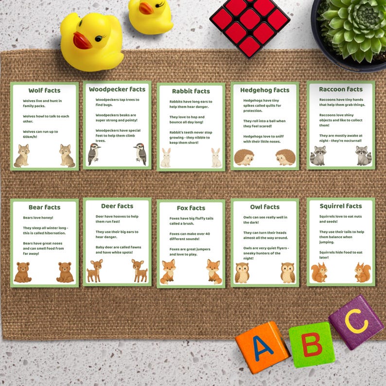 Forest Animal Flashcards – Printable Educational Resource | 21 PDF ...