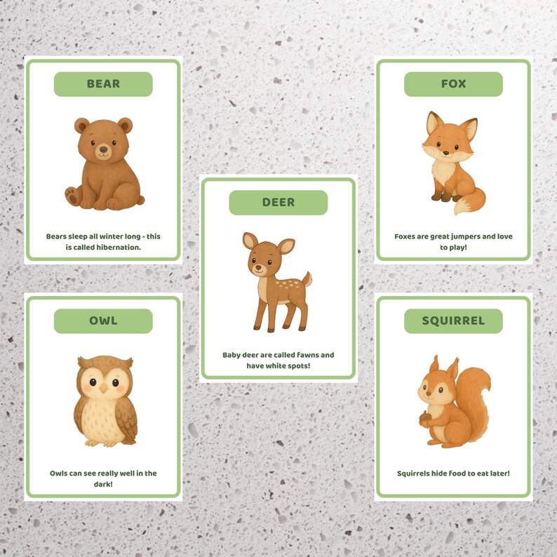 Forest Animal Flashcards – Printable Educational Resource | 21 PDF ...