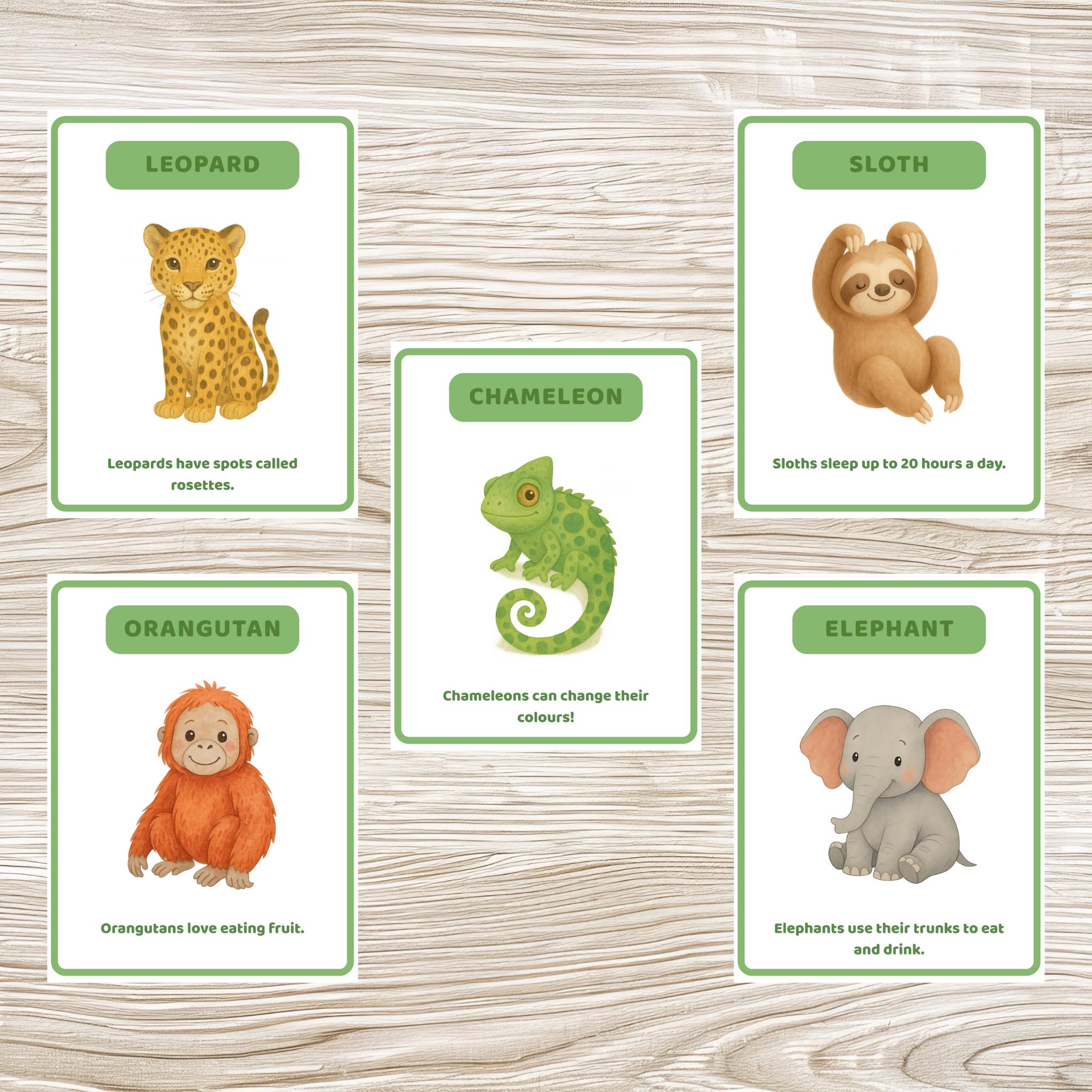 Jungle Animal Flashcards Printable – Educational PDF for Kids ...