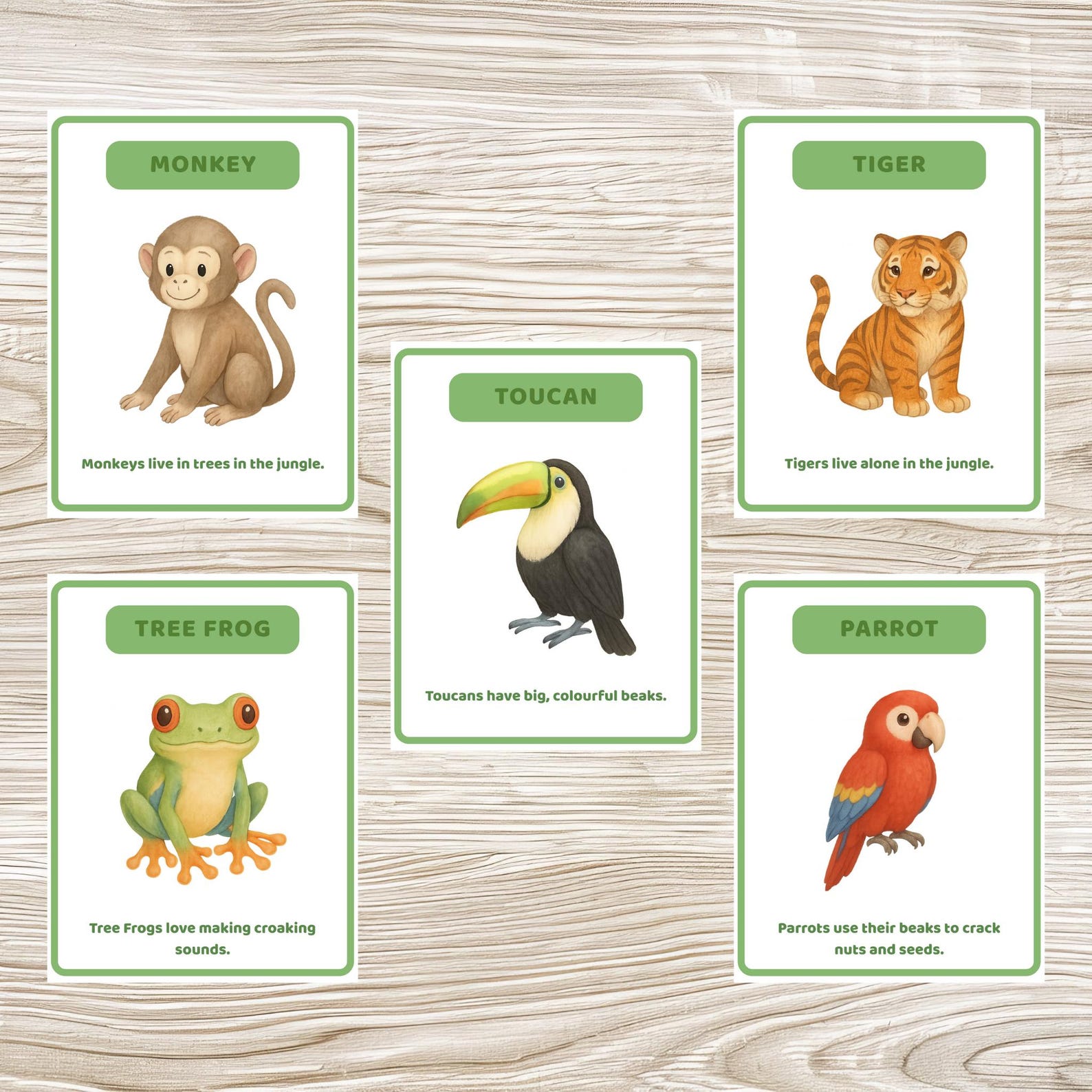 Jungle Animal Flashcards Printable – Educational PDF for Kids ...