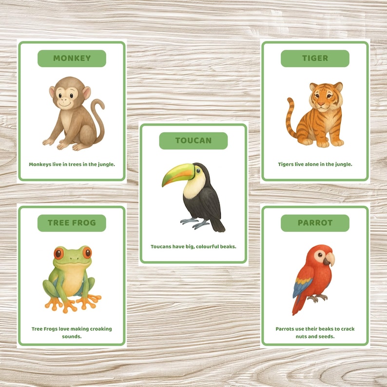 Jungle Animal Flashcards Printable – Educational PDF for Kids ...