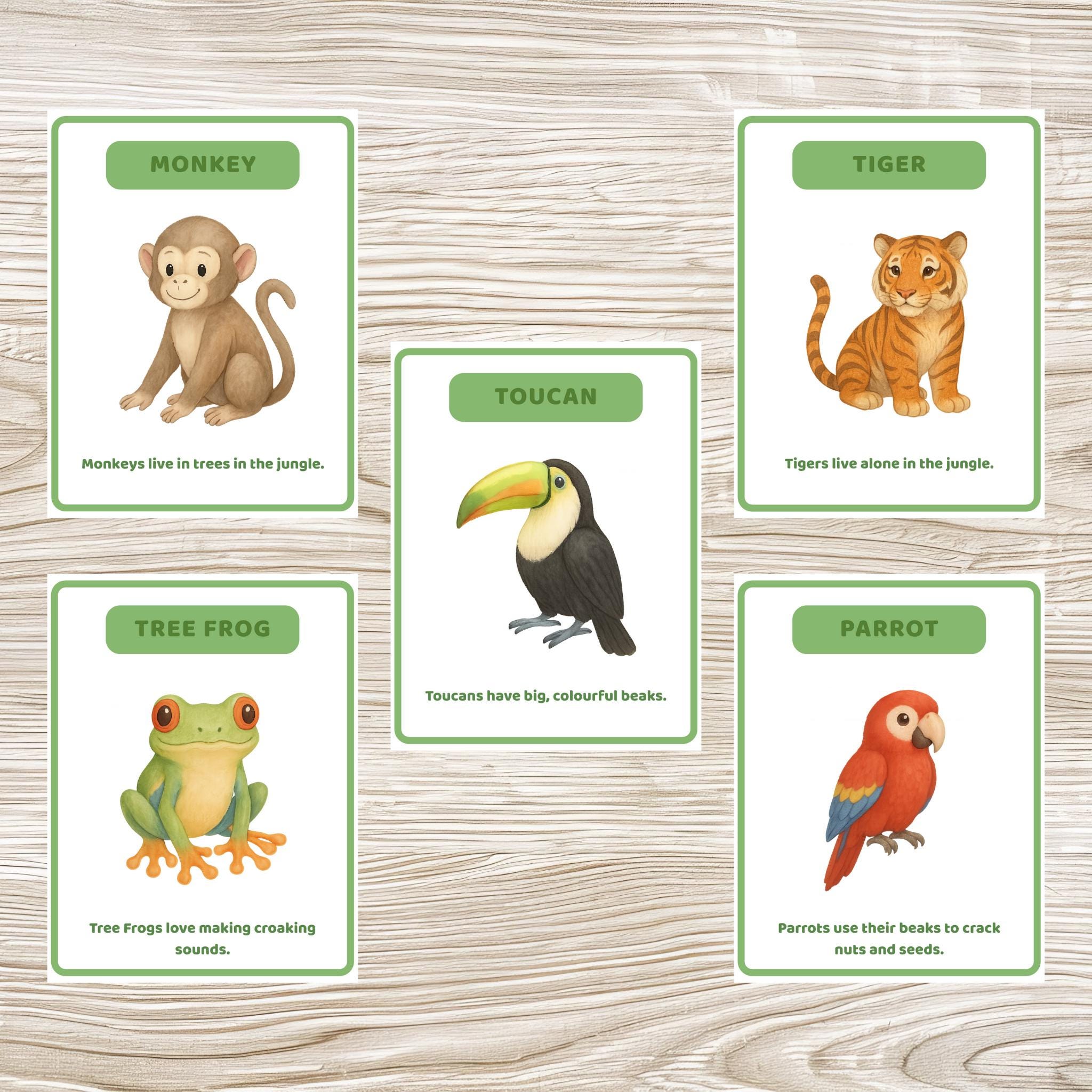 Jungle Animal Flashcards Printable – Educational PDF for Kids ...