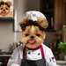 Personalized Chef Pet Portrait , Custom Digital Picture , Birthday Gift ...