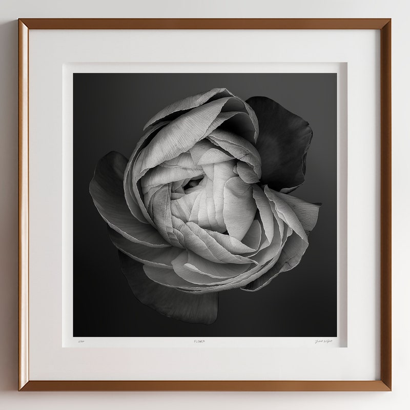 Photography Print - Etsy