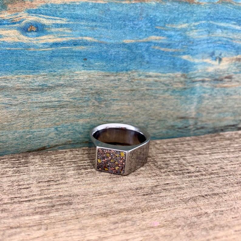 The Primeval - Men's Signet Ring - Titanium Men's Ring With Gibeon ...
