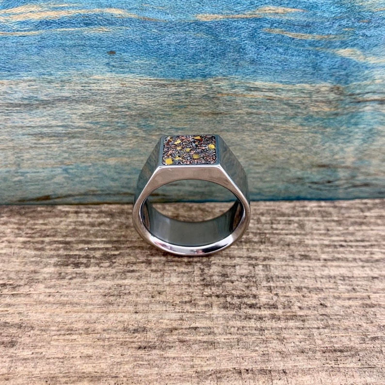 The Primeval - Men's Signet Ring - Titanium Men's Ring With Gibeon ...