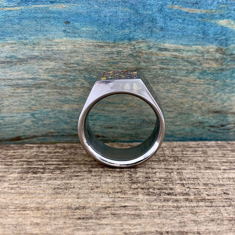 The Primeval - Men's Signet Ring - Titanium Men's Ring With Gibeon ...