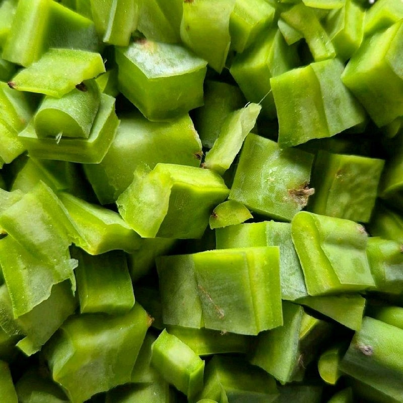 Tortoise Shops - Etsy UK