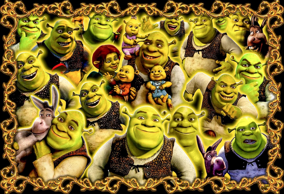 Shrek Pillowcase Shrek Pillow Cover Celebrity Bedroom Decor - Etsy