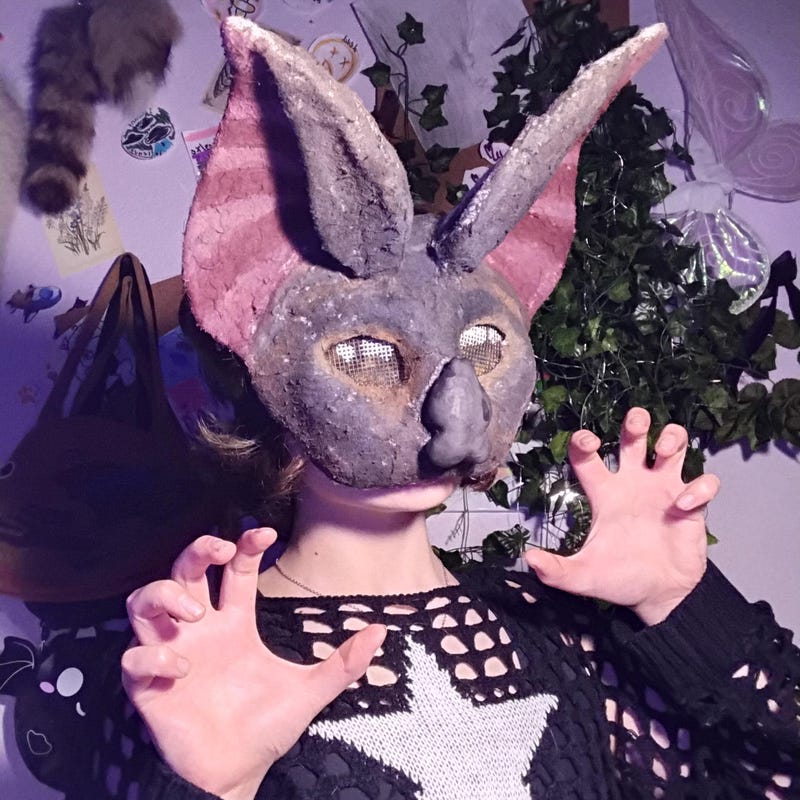Bat Mask for Cat - Etsy