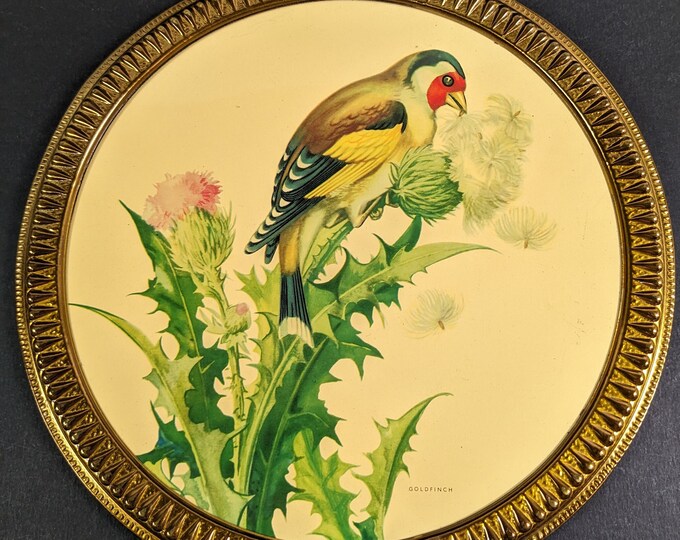 Song Bird Wall Art Plaque - Gold Finch Brass Framed Metal Plate - Etsy
