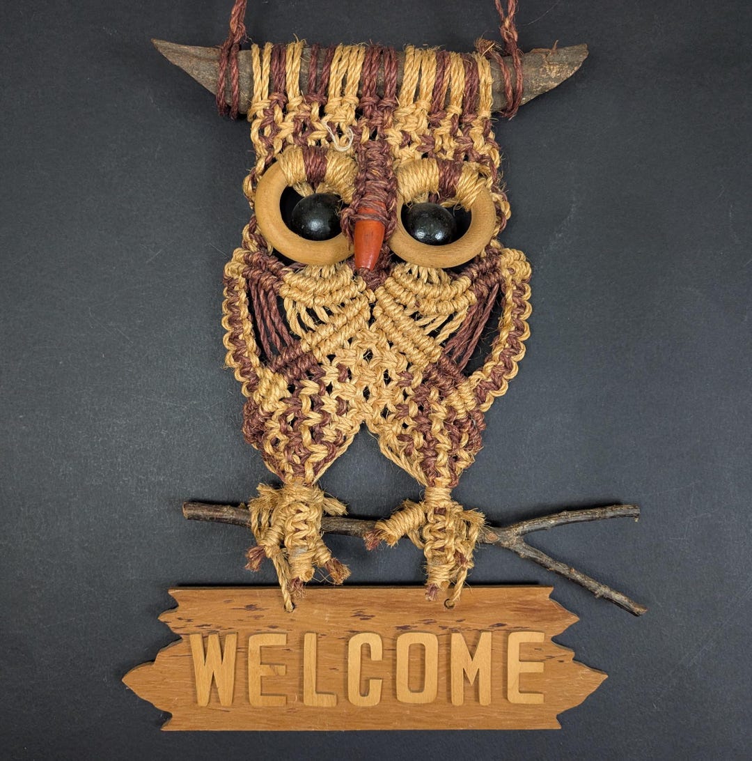 Vintage Owl Welcome Sign - Macrame Big Eyed Owl Decor - 70's Door ...