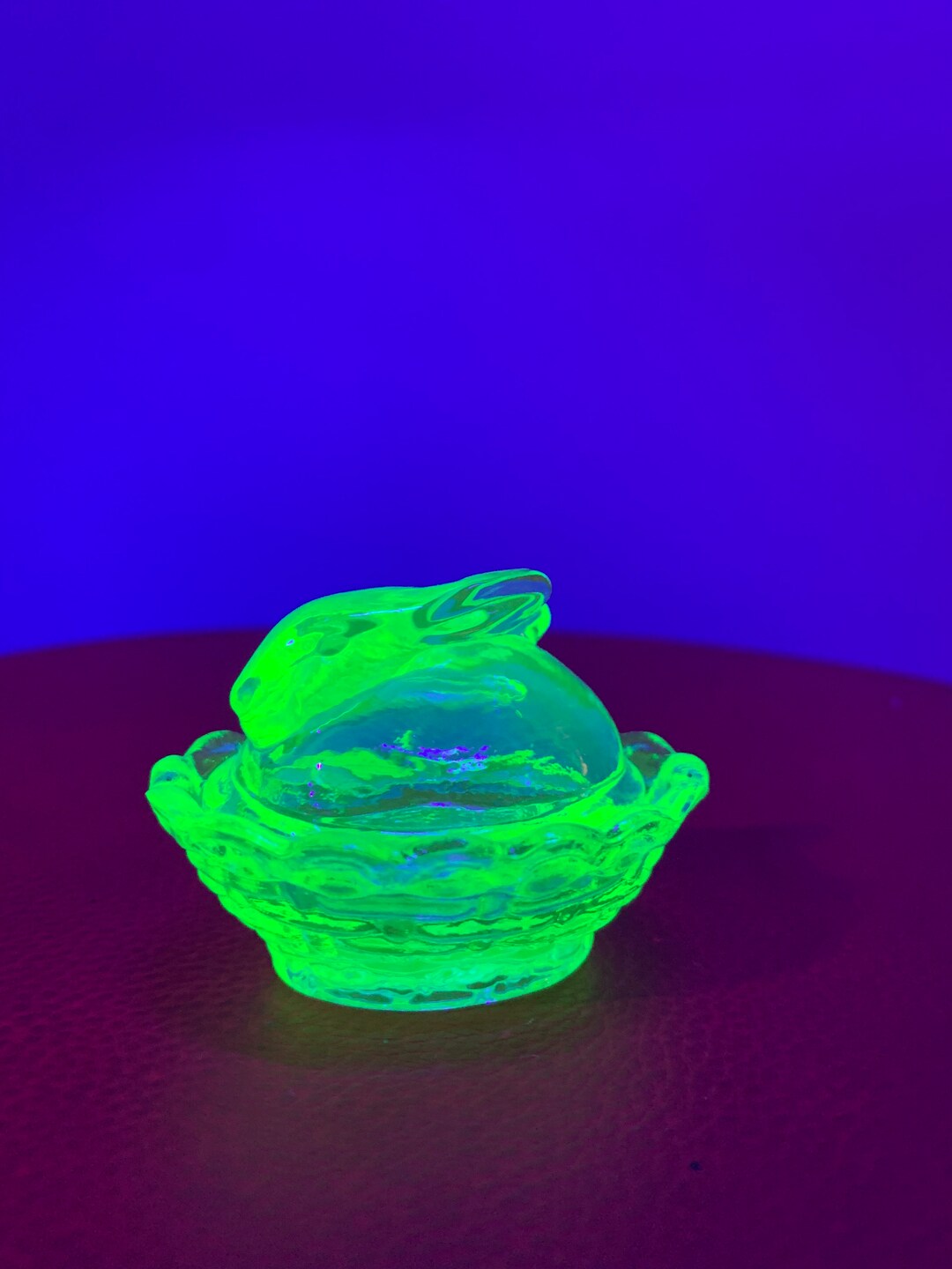 Uranium Mini Chubby Bunny on a Nest - Etsy