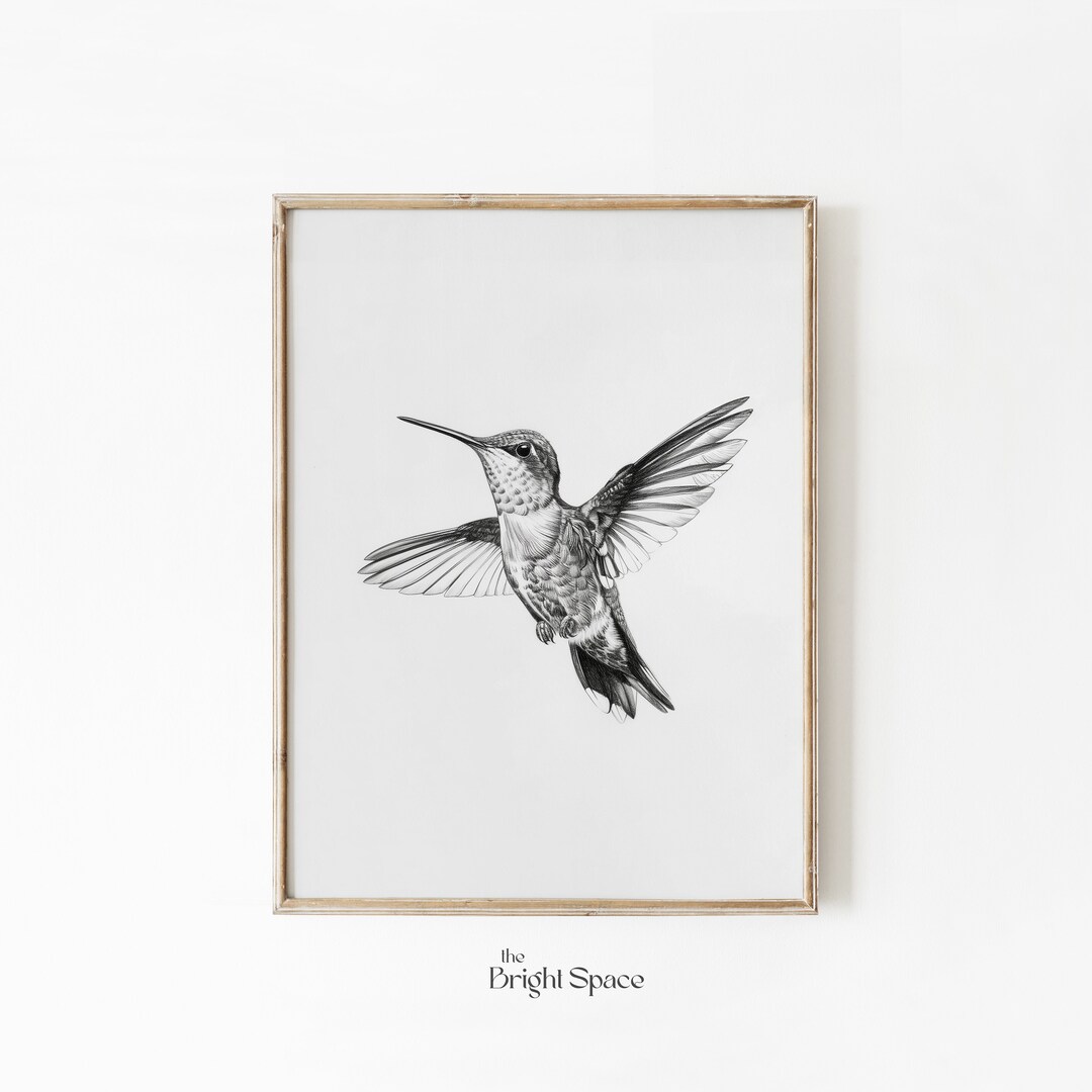Hummingbird Pencil Drawing Digital Download Bird Art Animal Wall Art ...
