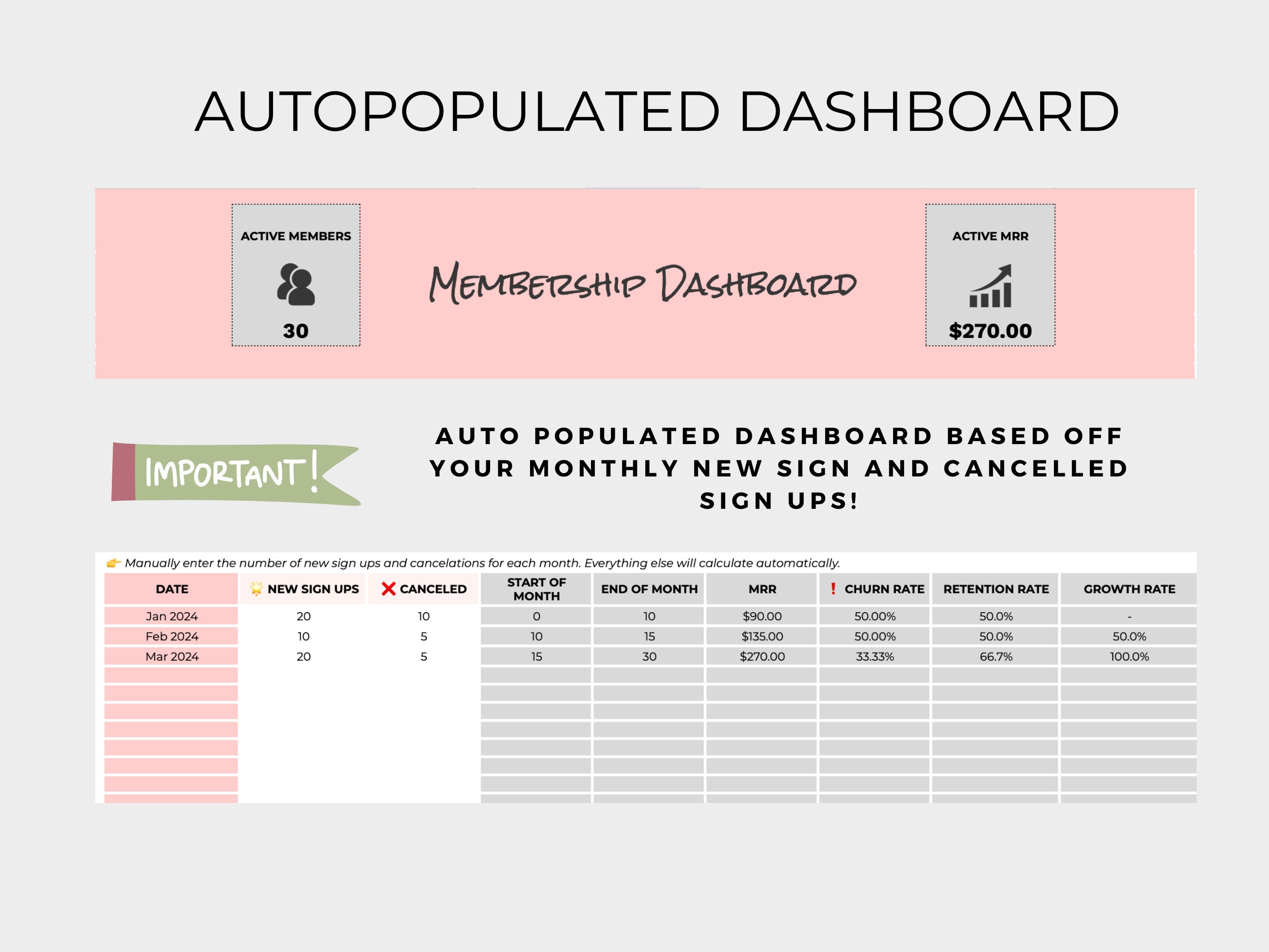 Membership Insights Dashboard | Google Sheets Analytics (digital ...
