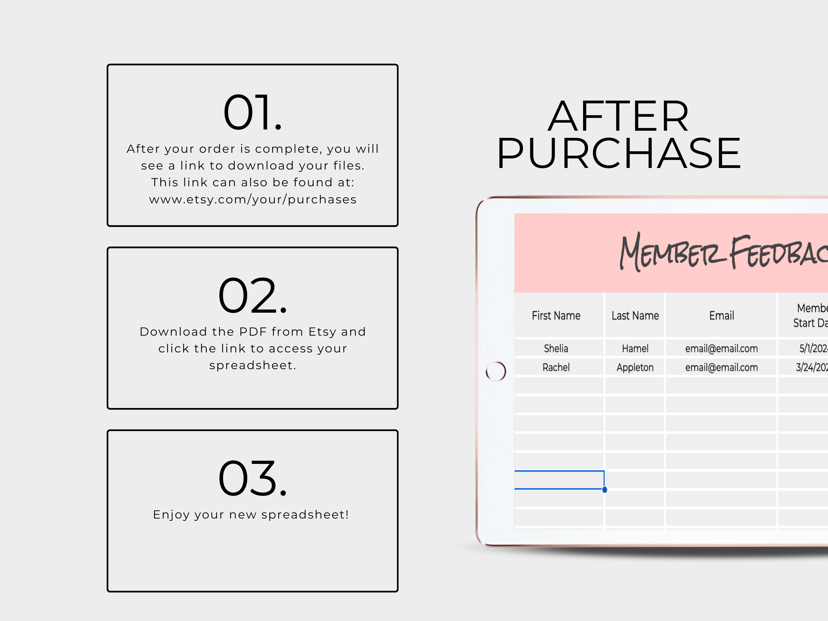 Membership Insights Dashboard | Google Sheets Analytics (digital ...