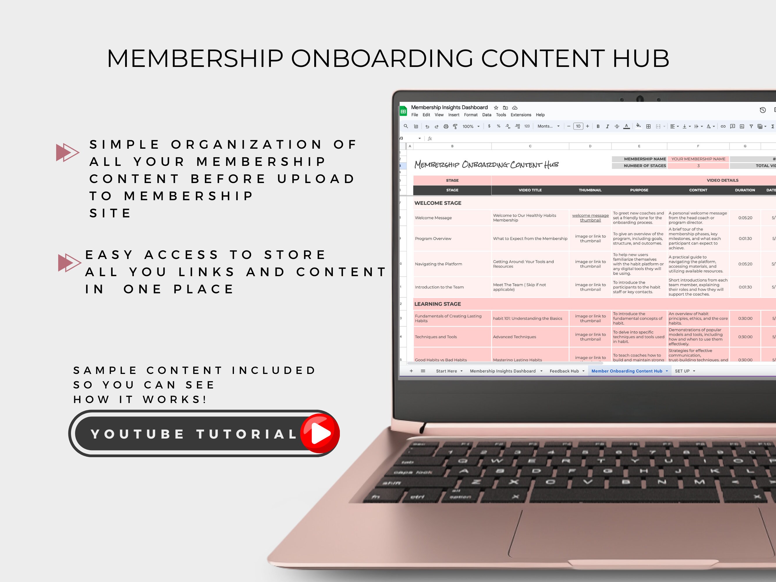 Membership Insights Dashboard | Google Sheets Analytics (digital ...