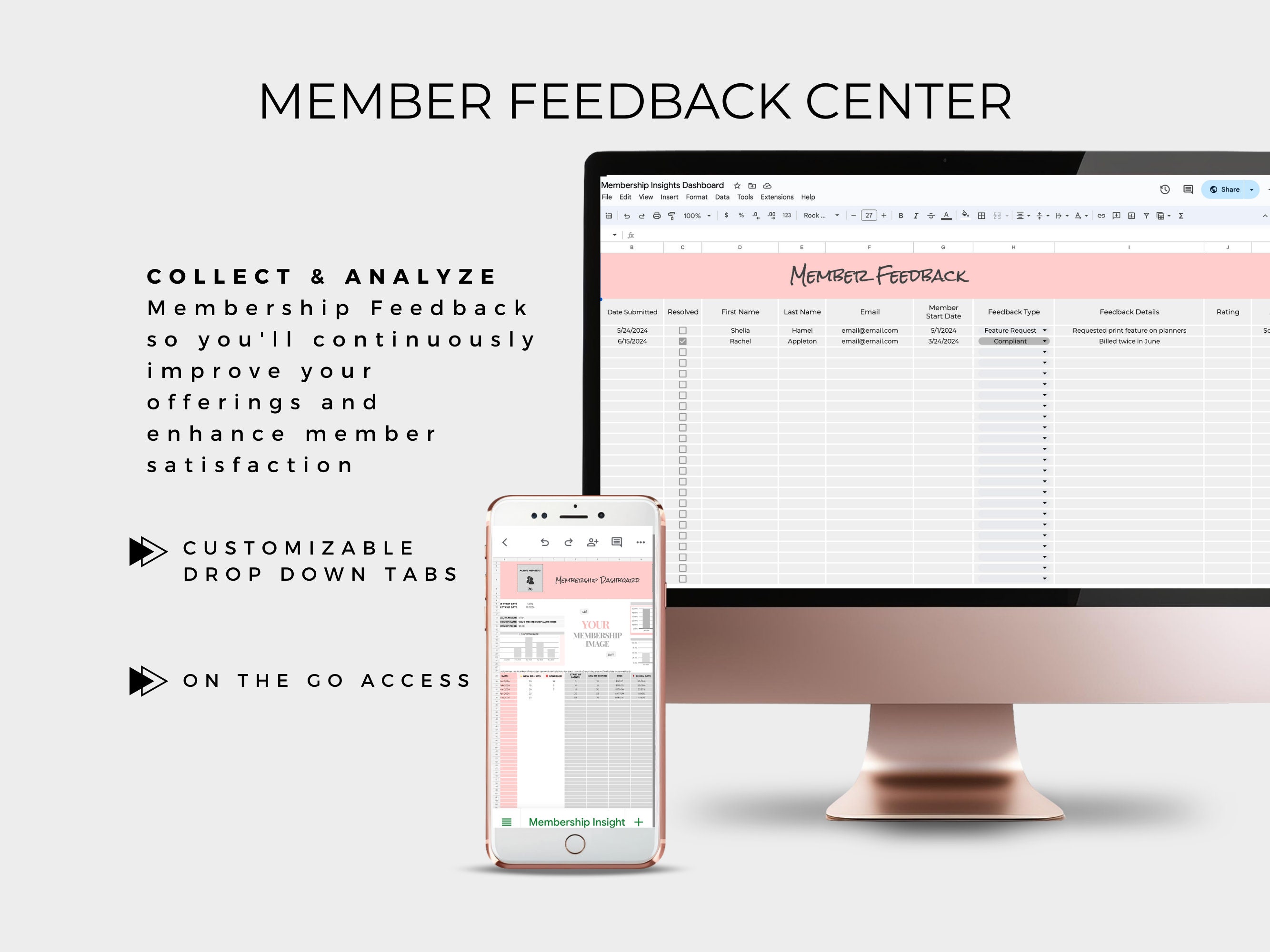 Membership Insights Dashboard | Google Sheets Analytics (digital ...