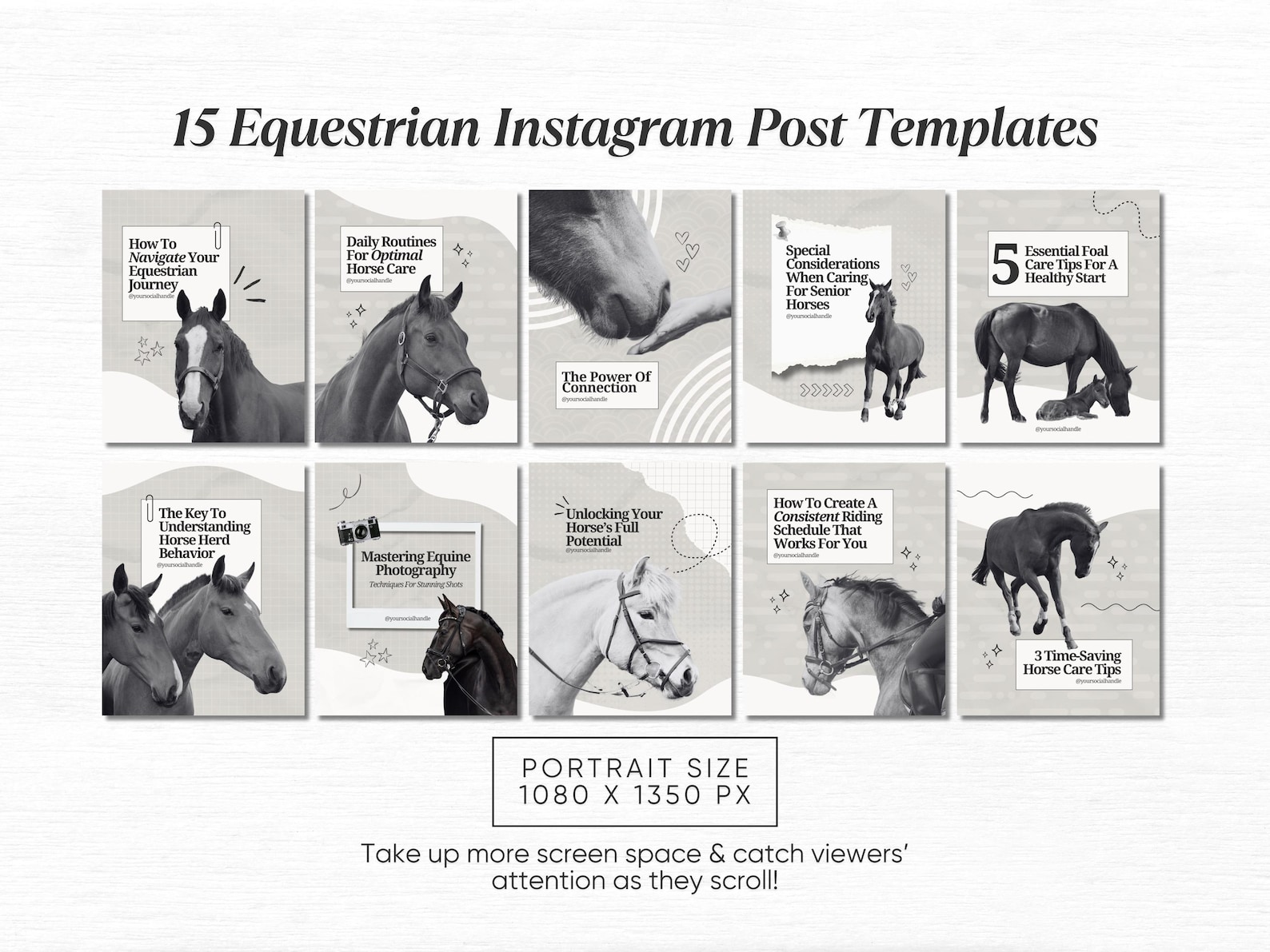 Horse Social Media Equestrian Instagram Post Template Customizable ...