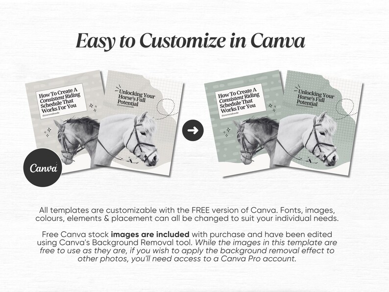 Horse Social Media Equestrian Instagram Post Template Customizable ...