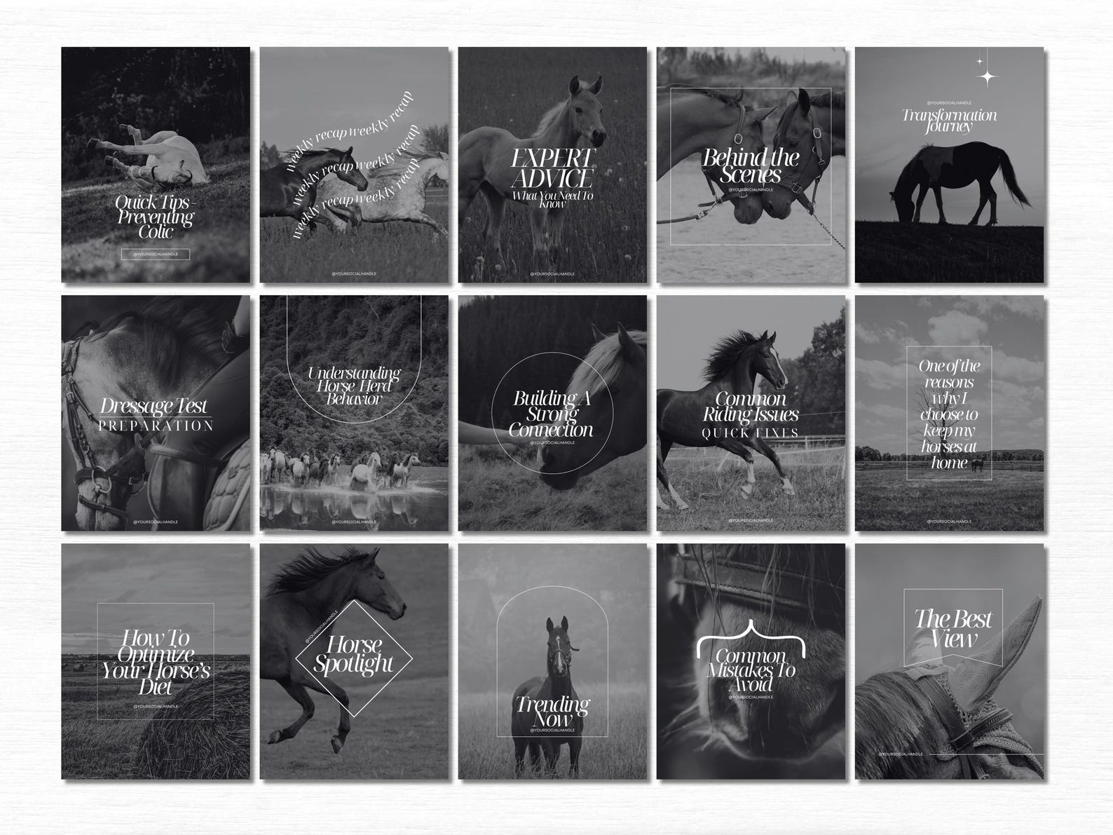 Horse Social Media Equestrian Instagram Post Template Customizable ...