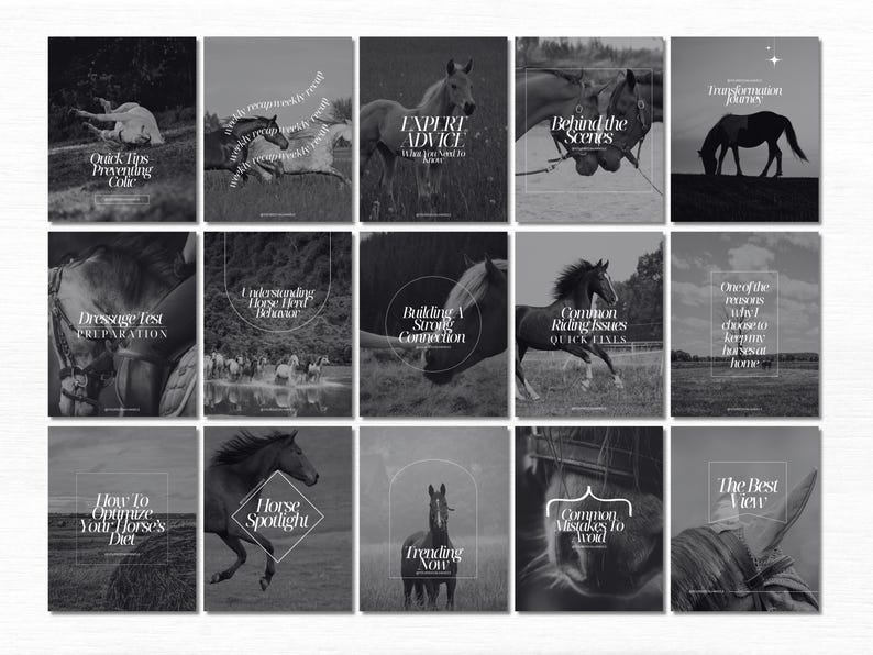 Horse Social Media Equestrian Instagram Post Template Customizable ...