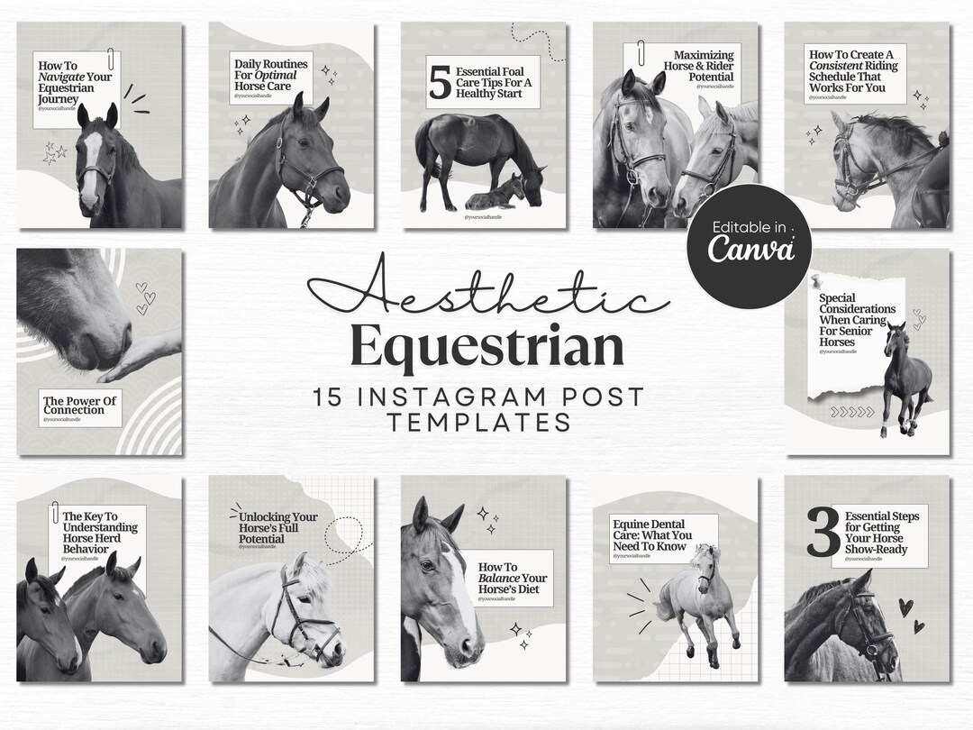 Horse Social Media Equestrian Instagram Post Template Customizable ...