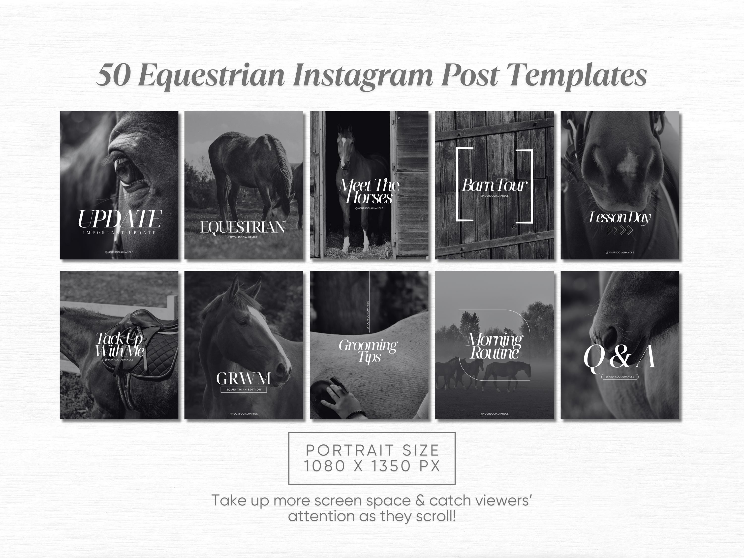 Horse Social Media Equestrian Instagram Post Template Customizable ...