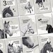 Horse Social Media Equestrian Instagram Post Template Customizable ...