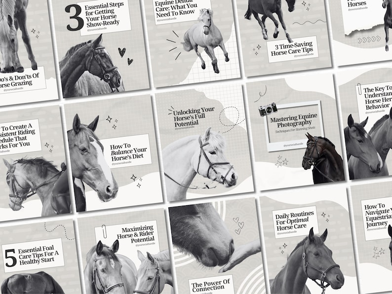 Horse Social Media Equestrian Instagram Post Template Customizable ...