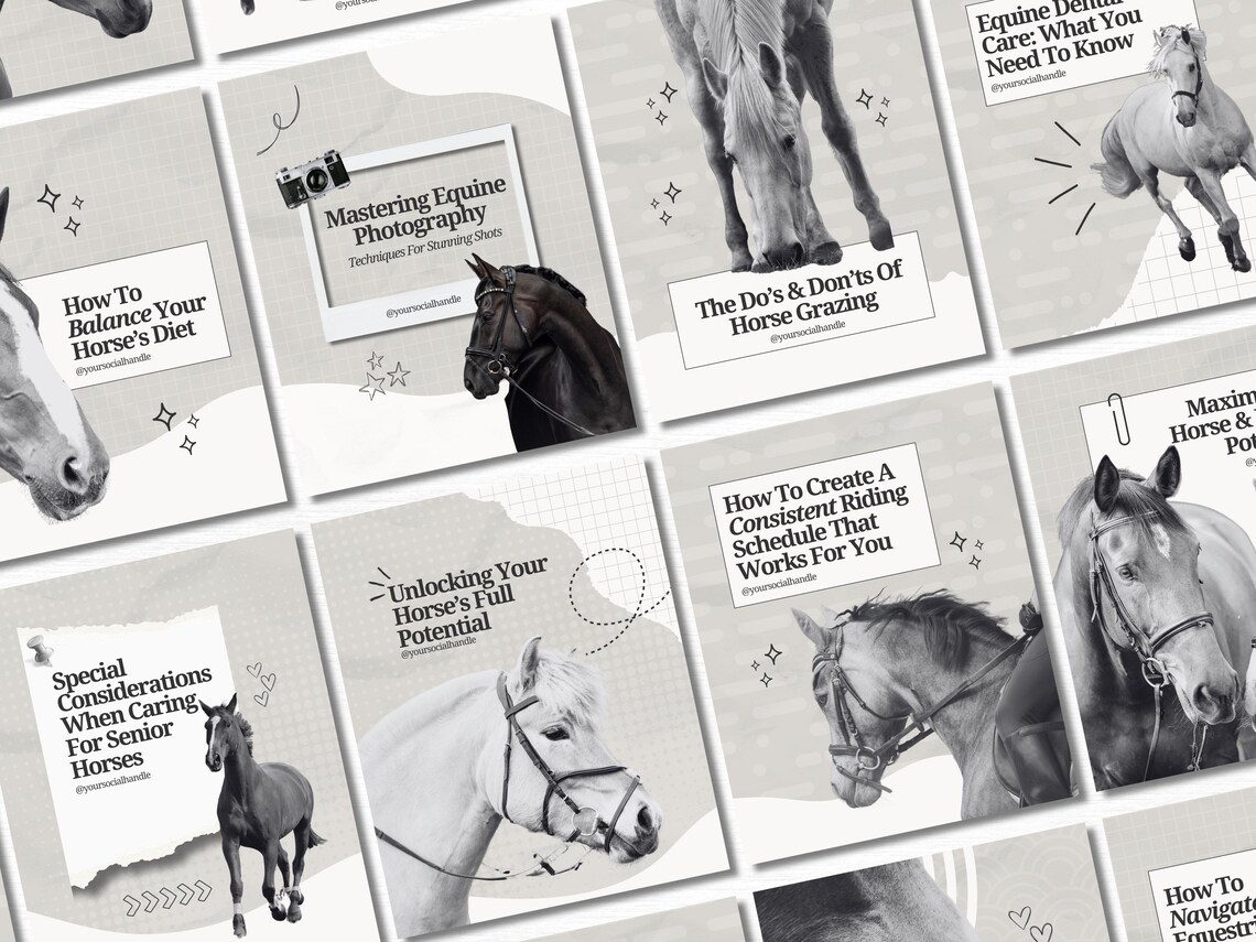 Horse Social Media Equestrian Instagram Post Template Customizable ...