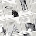 Horse Social Media Equestrian Instagram Post Template Customizable ...