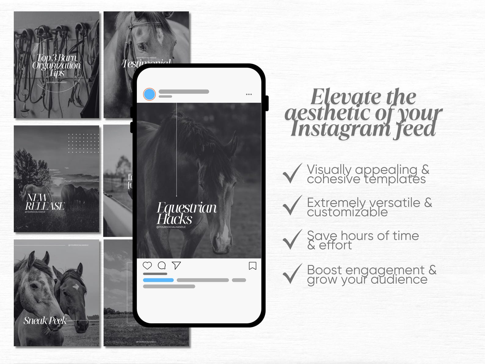 Horse Social Media Equestrian Instagram Post Template Customizable ...