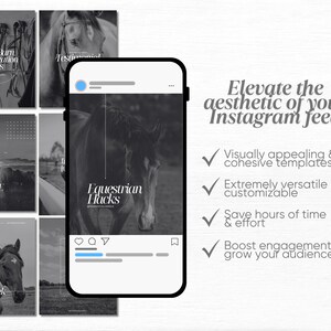 Horse Social Media Equestrian Instagram Post Template Customizable ...