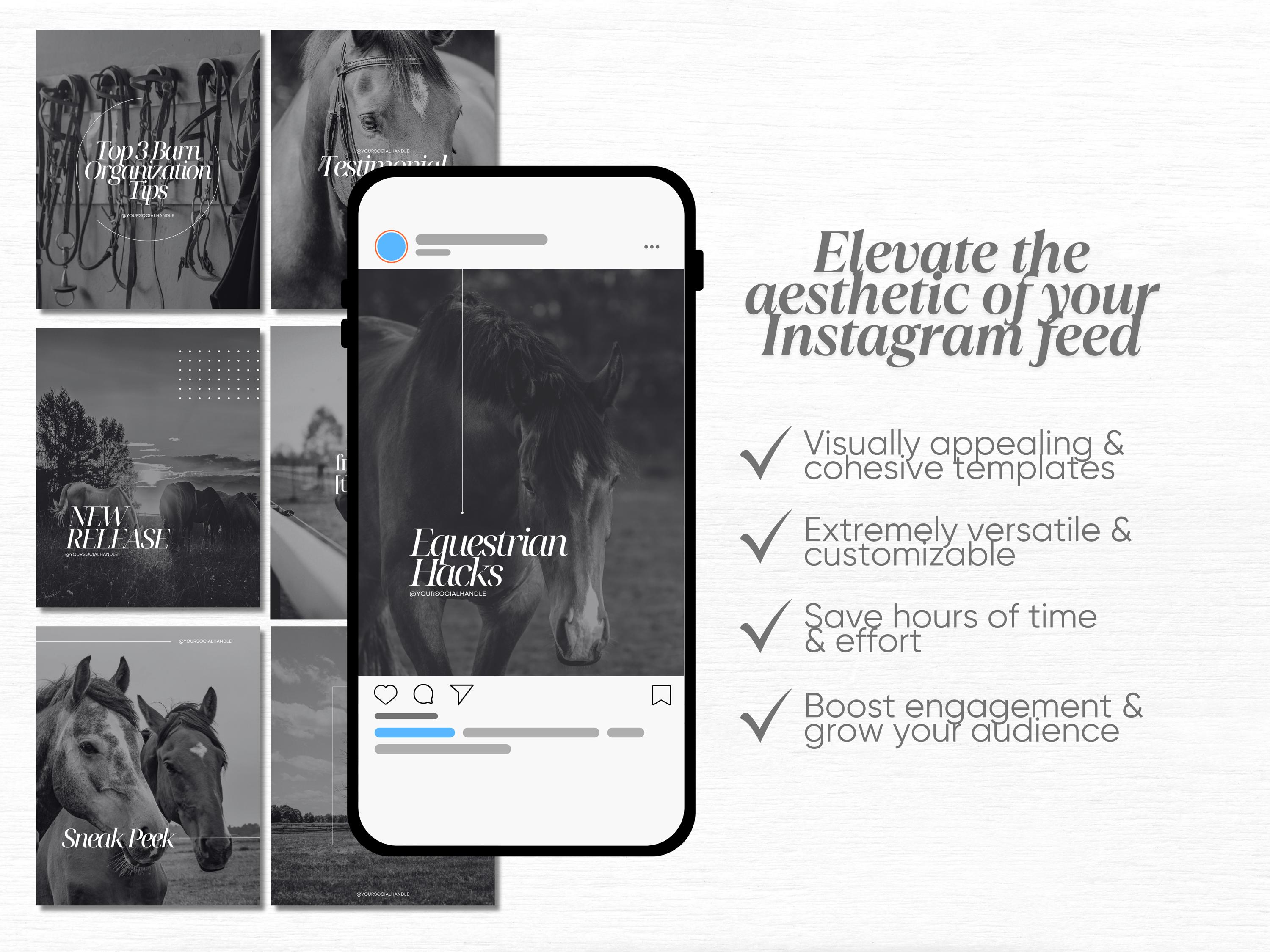 Horse Social Media Equestrian Instagram Post Template Customizable ...