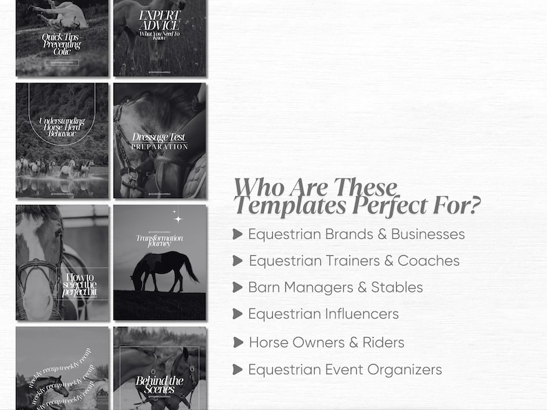 Horse Social Media Equestrian Instagram Post Template Customizable ...