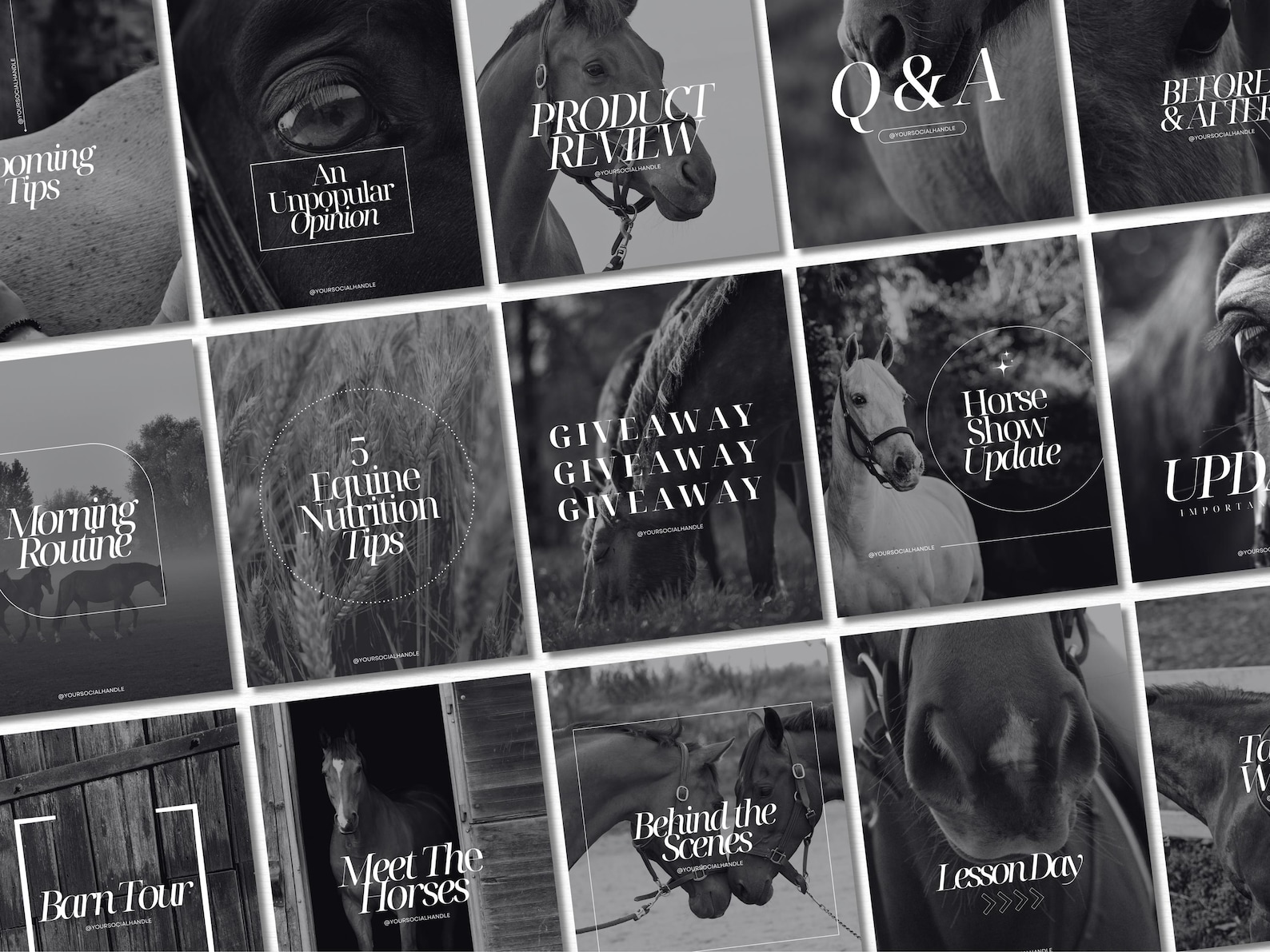 Horse Social Media Equestrian Instagram Post Template Customizable ...
