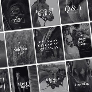 Horse Social Media Equestrian Instagram Post Template Customizable ...