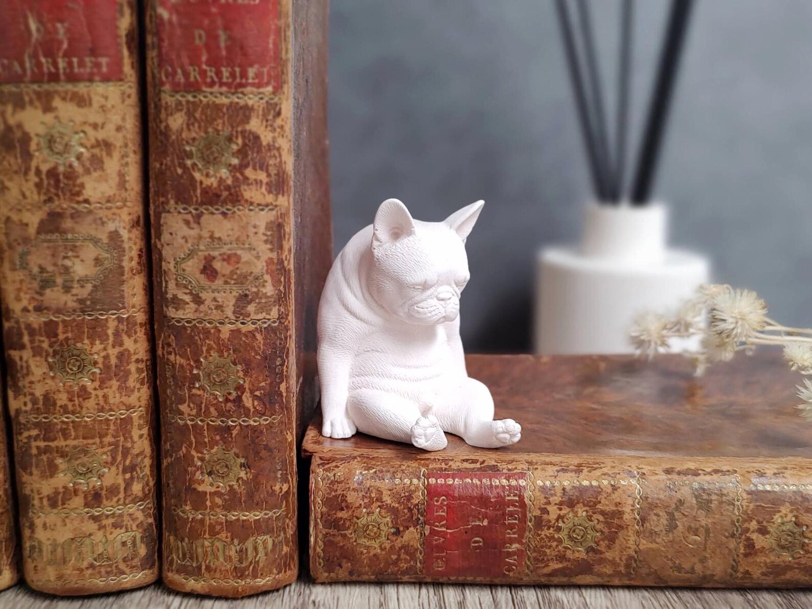 Sleeping French Bulldog: Frenchie Lover Gift, Cubicle Desk Buddy ...