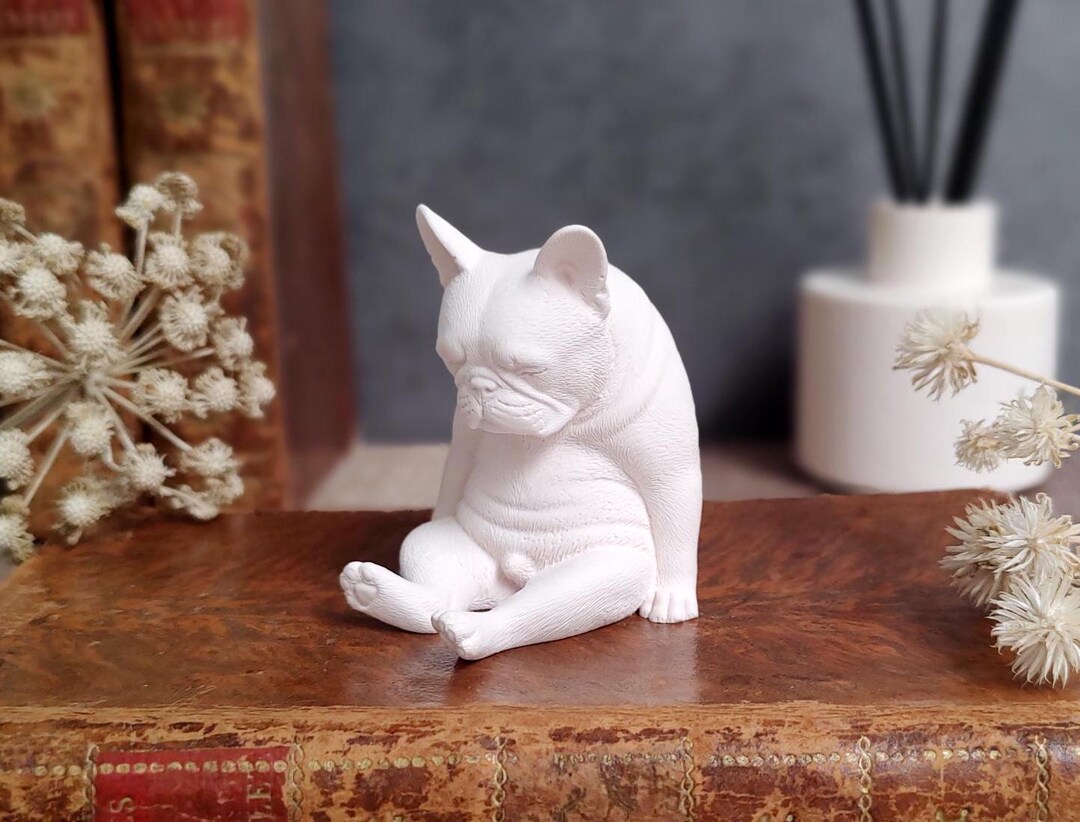 Sleeping French Bulldog: Frenchie Lover Gift, Cubicle Desk Buddy ...