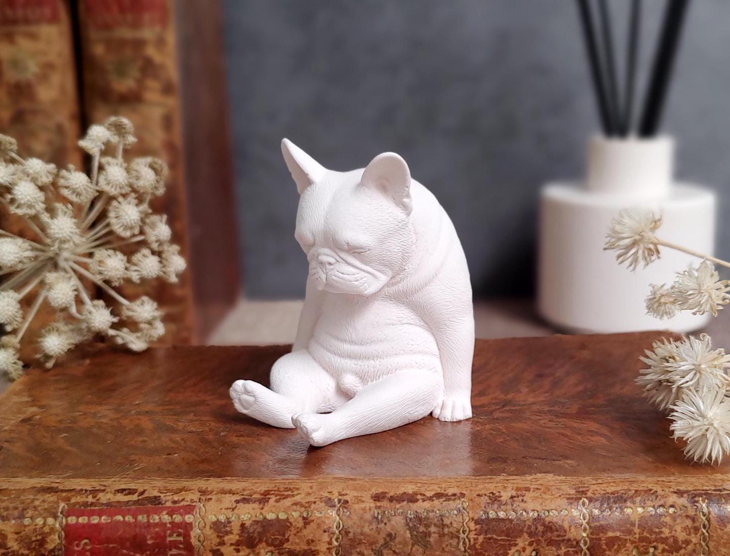 Frenchie ring holder store
