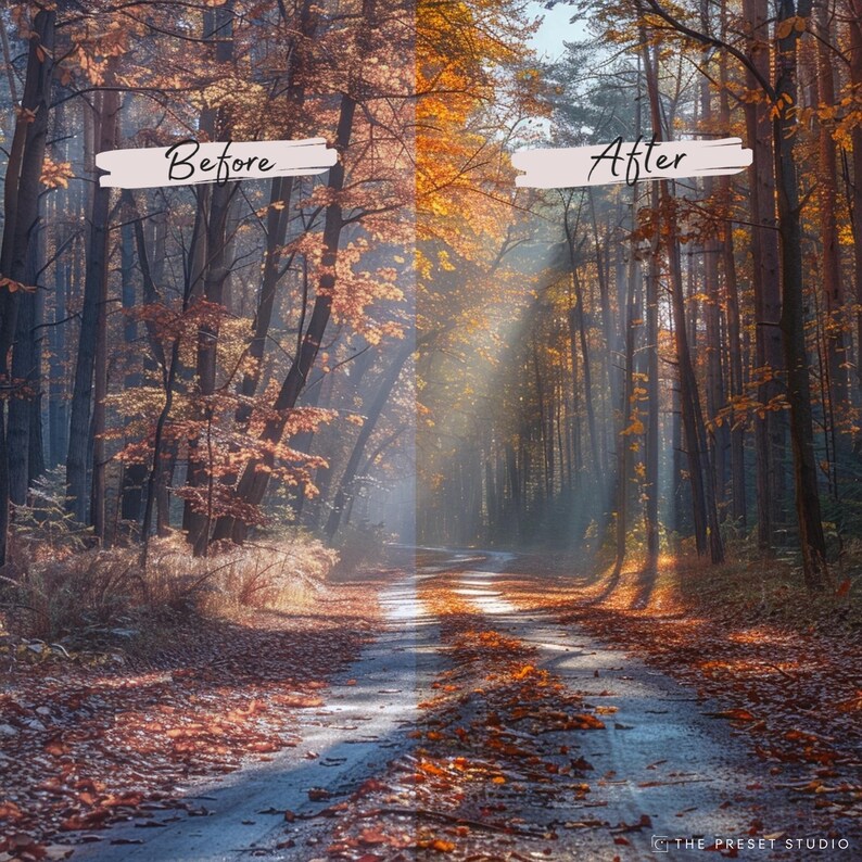 AUTUMN Lightroom Presets, Fall Lightroom Presets, Golden, Leaves ...