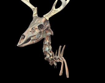 Whitetail Deer Head Shoulder Mount Taxidermy Cape Shed Antler Hunt Mule ...