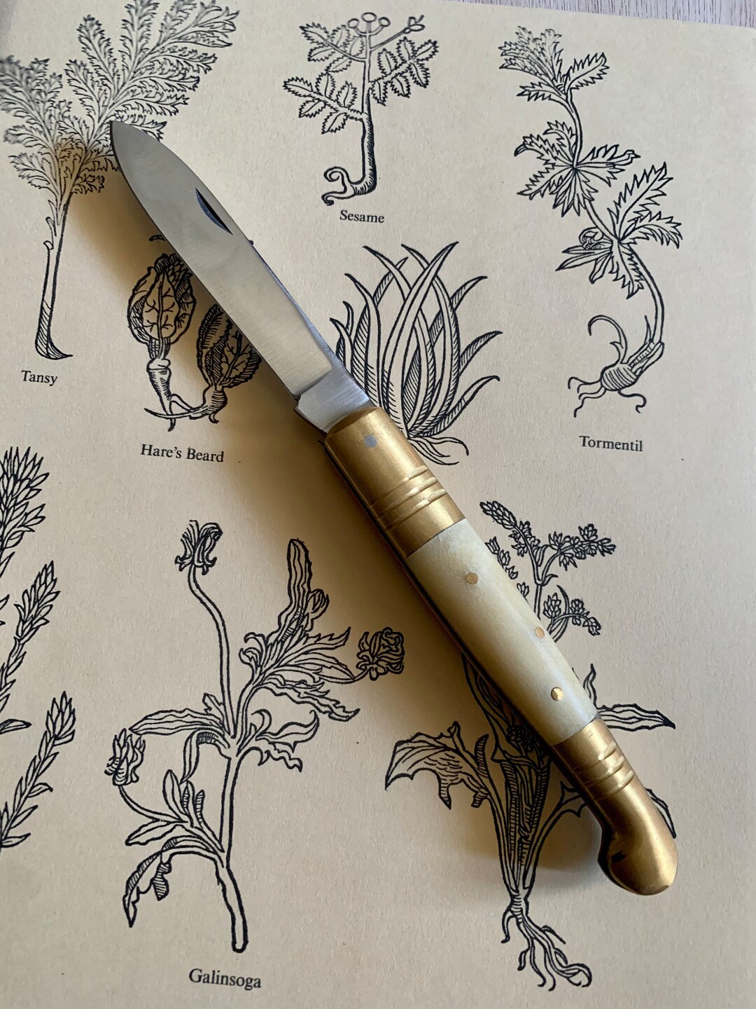 Herb Knife Athame Herbalist Boline Witchcraft Folding Blade Tool Brass ...