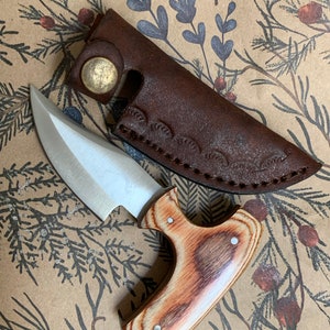 ROOT KNIFE Herb Boline With Belt Sheath Herbalist Tool Foraging Digger ...