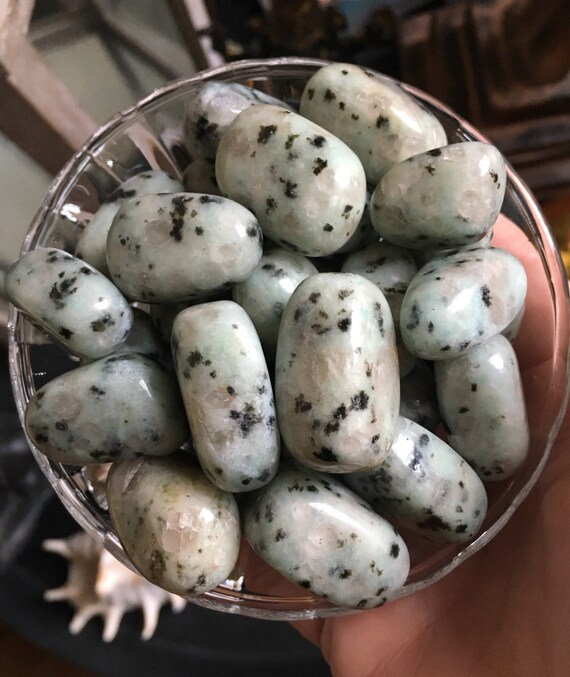 Identity Help : Sesame jasper/kiwi jasper - Anyone familiar with it?