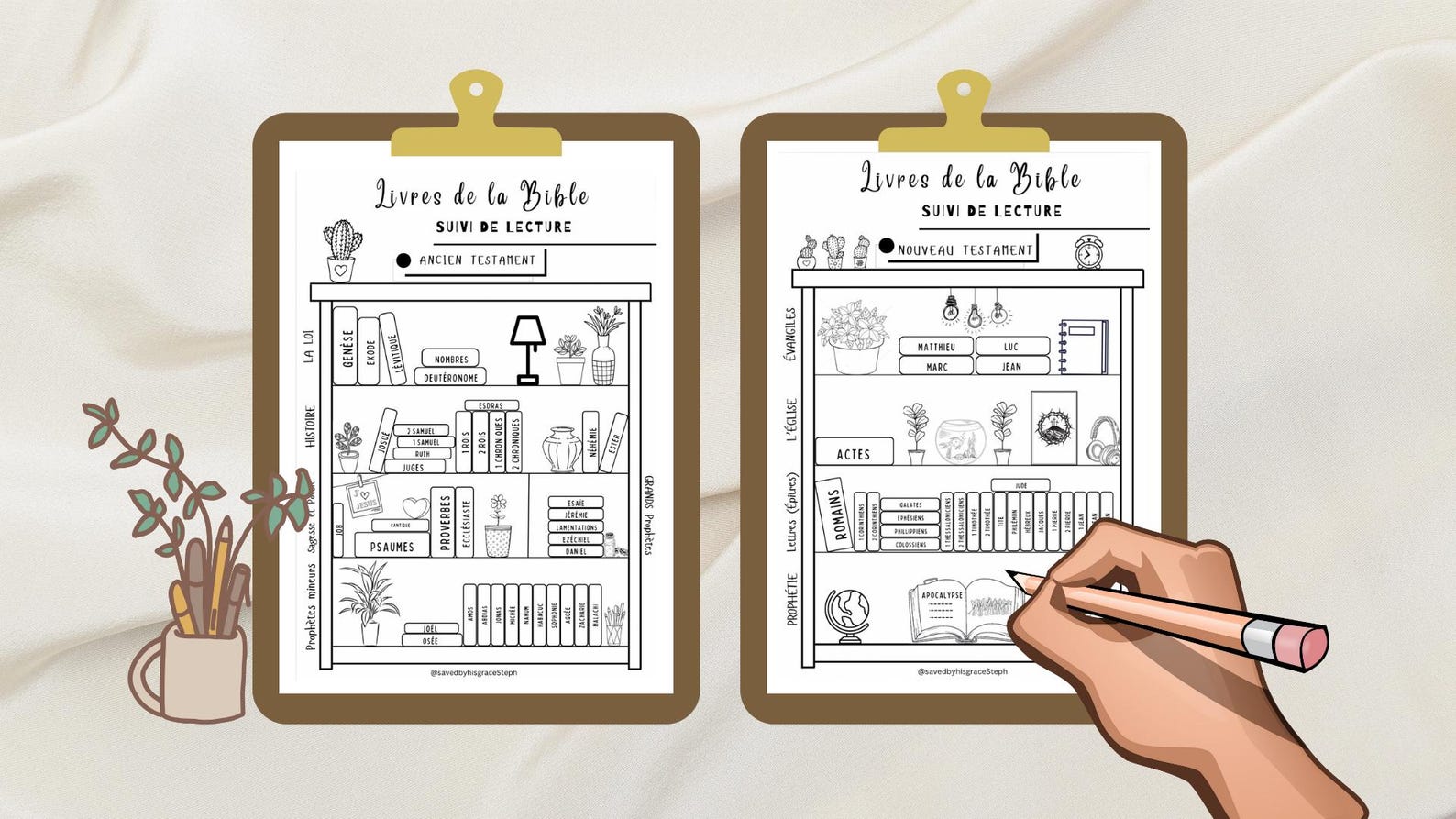 French Bible Reading Tracker: Printable Bookshelf (PDF) - Etsy