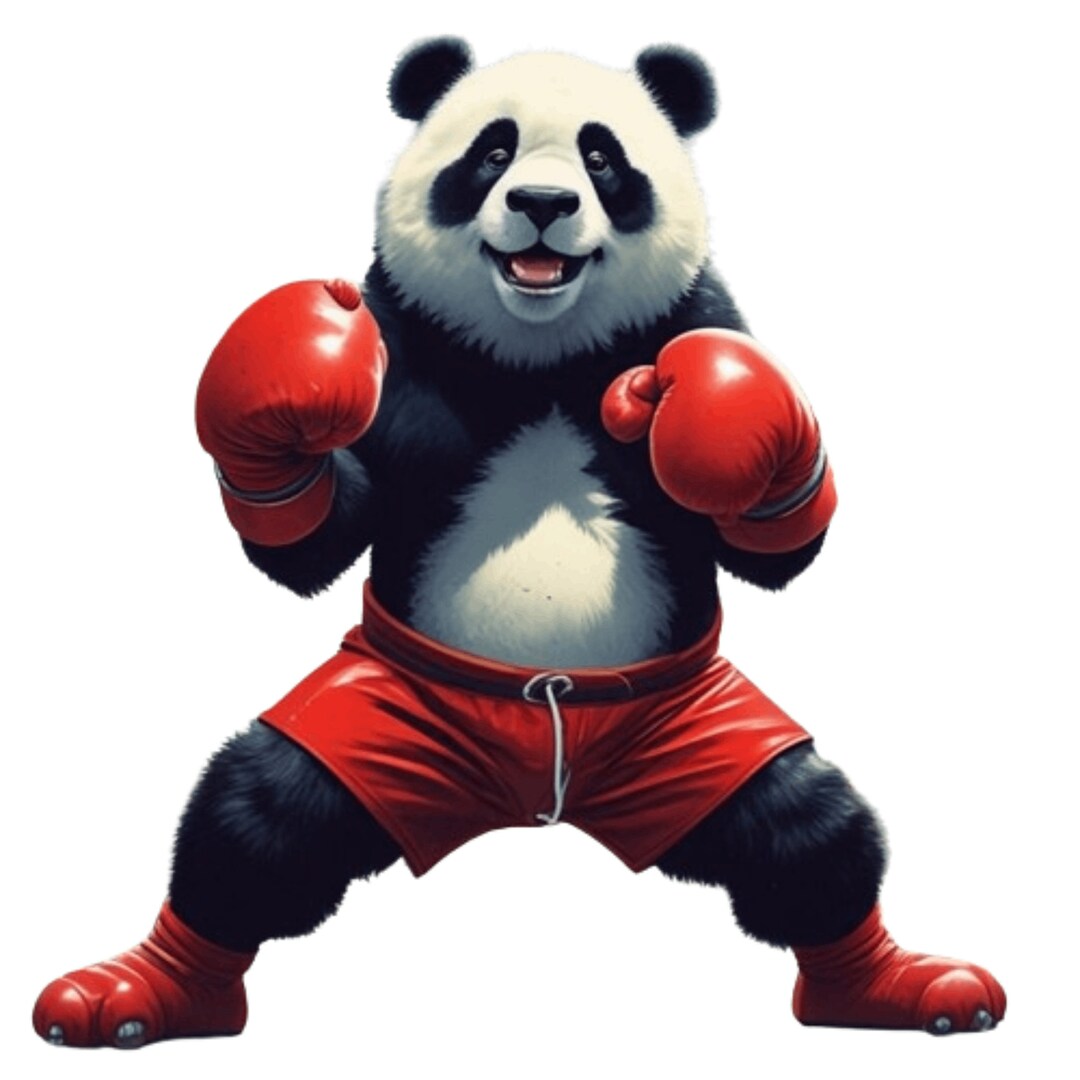 Boxing Panda Clip Art, Digital Download, 10 High Quality PNG 5000px ...