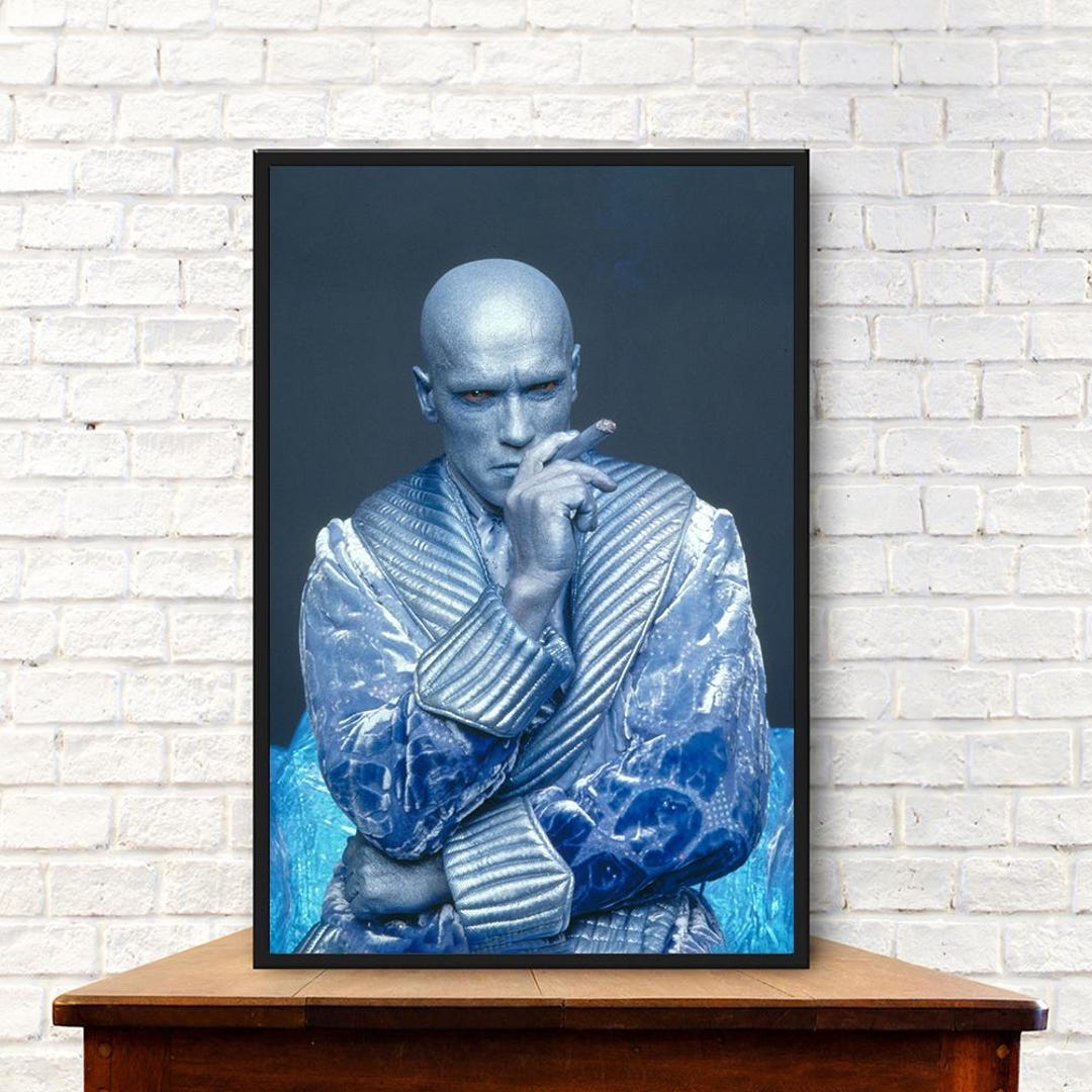 Arnold Schwarzenegger Freeze Gun Movie Poster for Home Living Wall Art ...