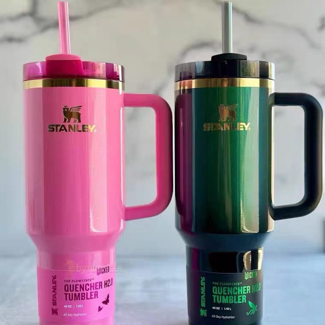 Customisable Elphaba wicked Stanley 40oz Cup Stanley Tumbler ...